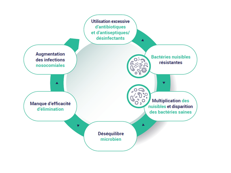 11- La résistance microbienne | EFFIGY PRO